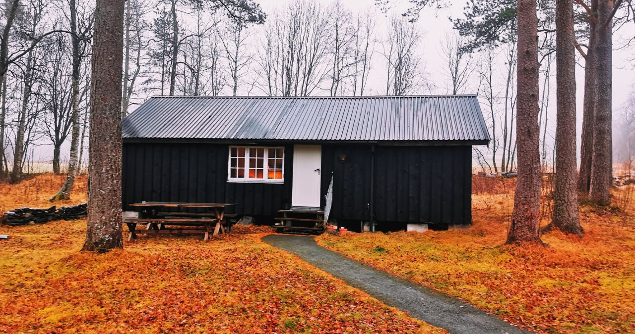 Is it Cheaper to Build with Shipping Containers? - Ship Fortress